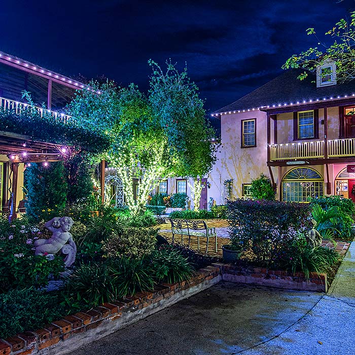 Light Up The Night Contest: Best Newcomer